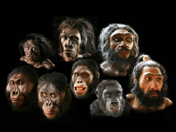 Our brothers and sisters – Sapiens study part 1 – Salini Vineeth